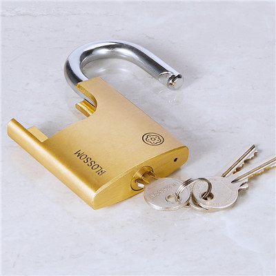 60mm top security high quality anti-cut brass padlock | padlock ...