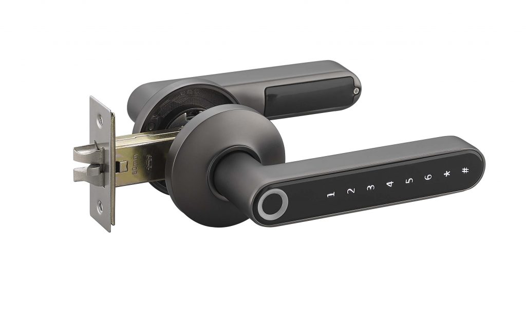 Fingerprint double lock with double handle door lock | padlock ...